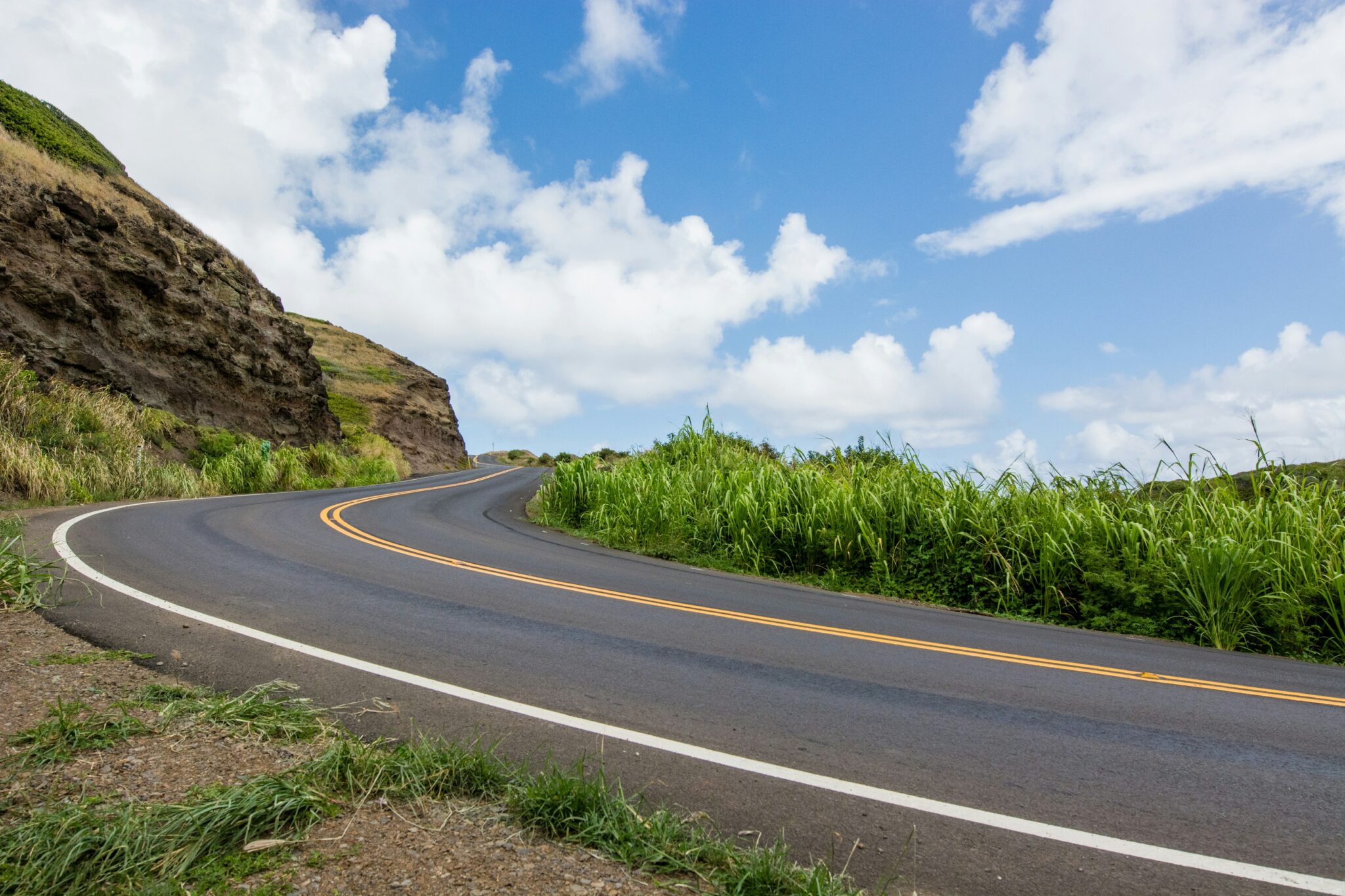 Road Maintenance Vegetation Management - Benton County Public Works, Oregon